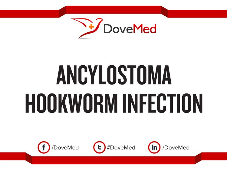 Ancylostoma Hookworm Infection