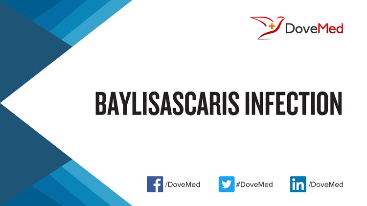 Baylisascaris Infection
