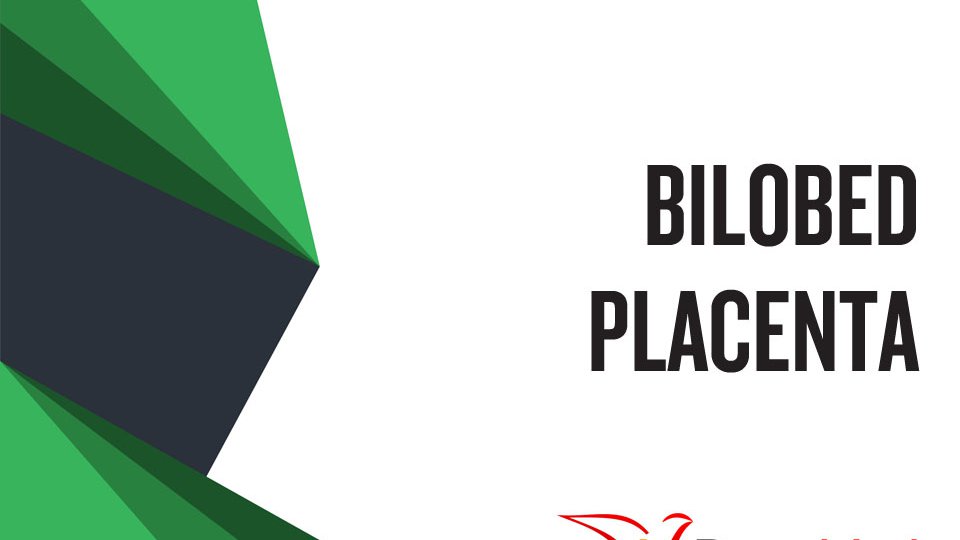 How well do you know Bilobed Placenta