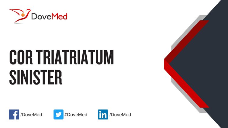 Cor Triatriatum Sinister