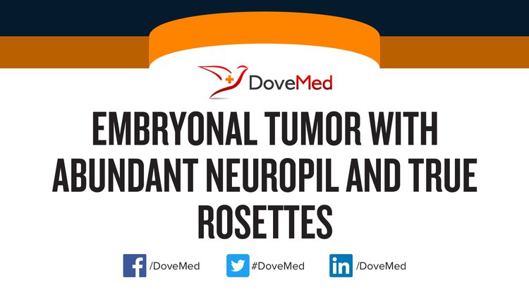 Embryonal Tumor with Abundant Neuropil and True Rosettes