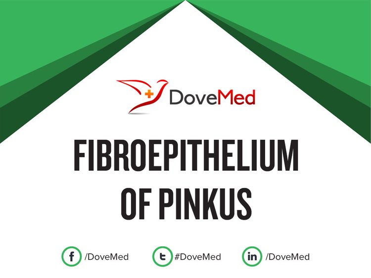 Fibroepithelium of Pinkus