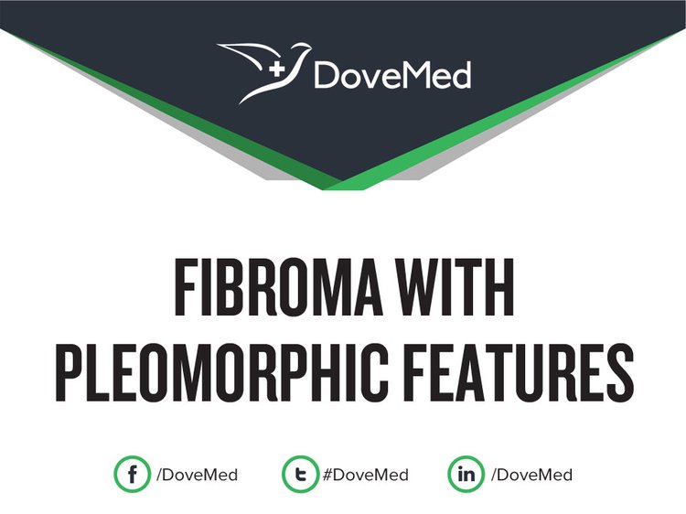 Fibroma with Pleomorphic Features
