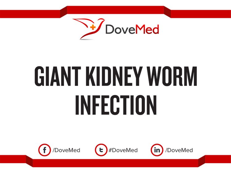 Giant Kidney Worm Infection