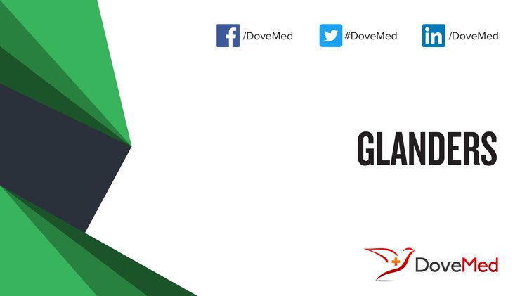 Glanders