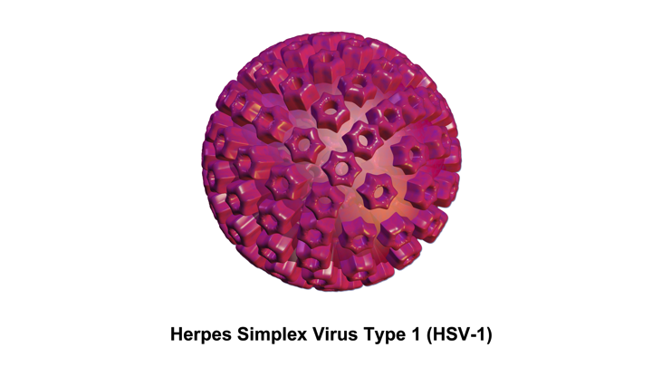 Exploring How Herpes Simplex Virus Changes When Passed Between Family ...