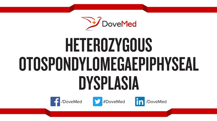 Heterozygous Otospondylomegaepiphyseal Dysplasia