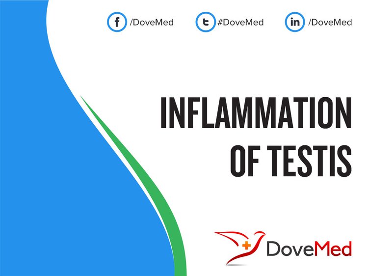Inflammation of Testis