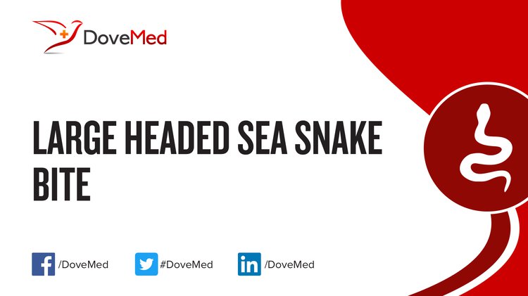 Large Headed Sea Snake Bite