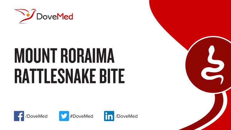 Mount Roraima Rattlesnake Bite