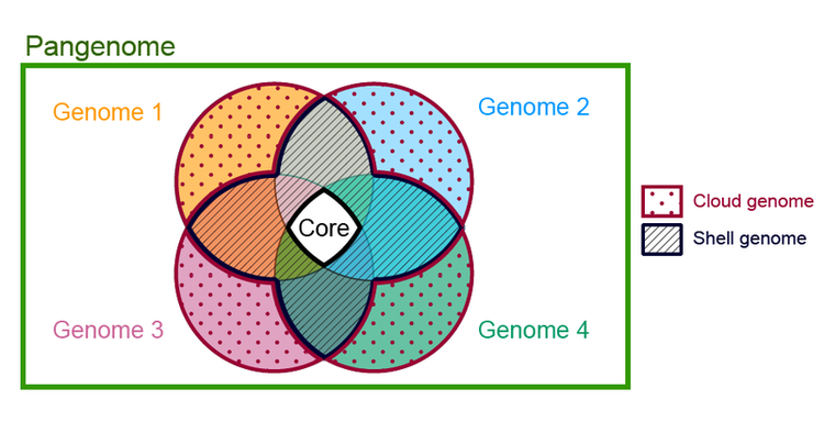 Behind The Scenes Of A Major Genomic Discovery