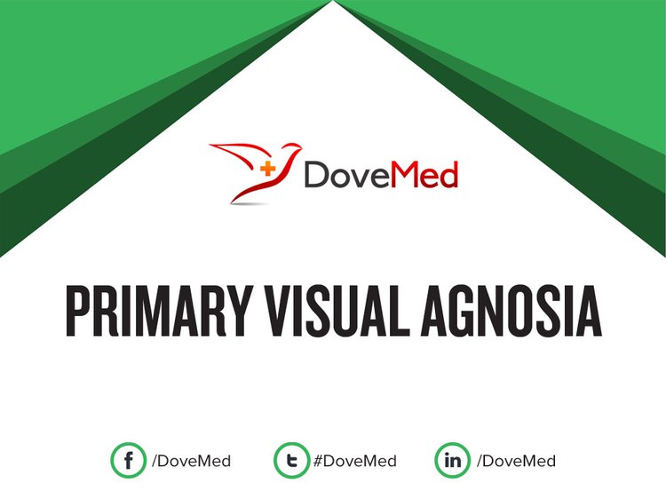 Primary Visual Agnosia