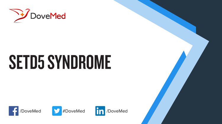 SETD5 Syndrome
