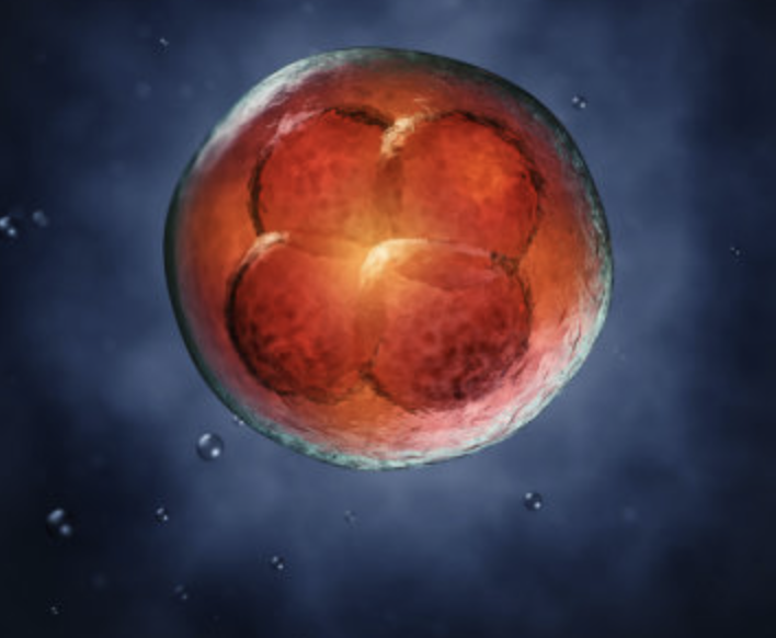 New Type Of Stem Cell Line Produced Offers Expanded Potential For ...