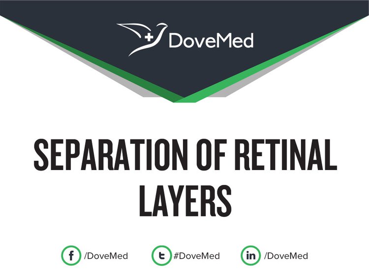 Separation of Retinal Layers