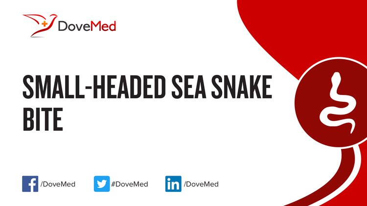 Small-Headed Sea Snake Bite