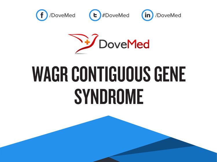 WAGR Contiguous Gene Syndrome