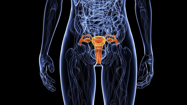 Benign and Malignant Tumors of the Fallopian Tube