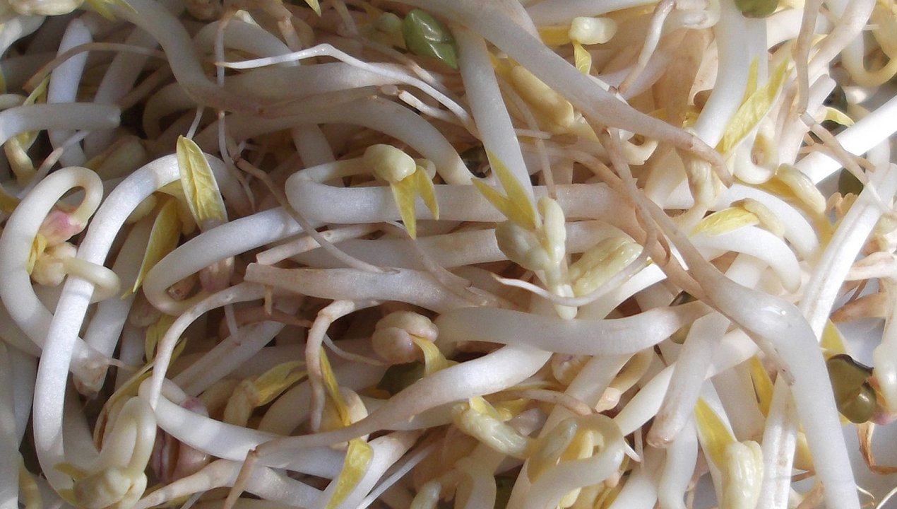 7 Health Benefits Of Bean Sprouts