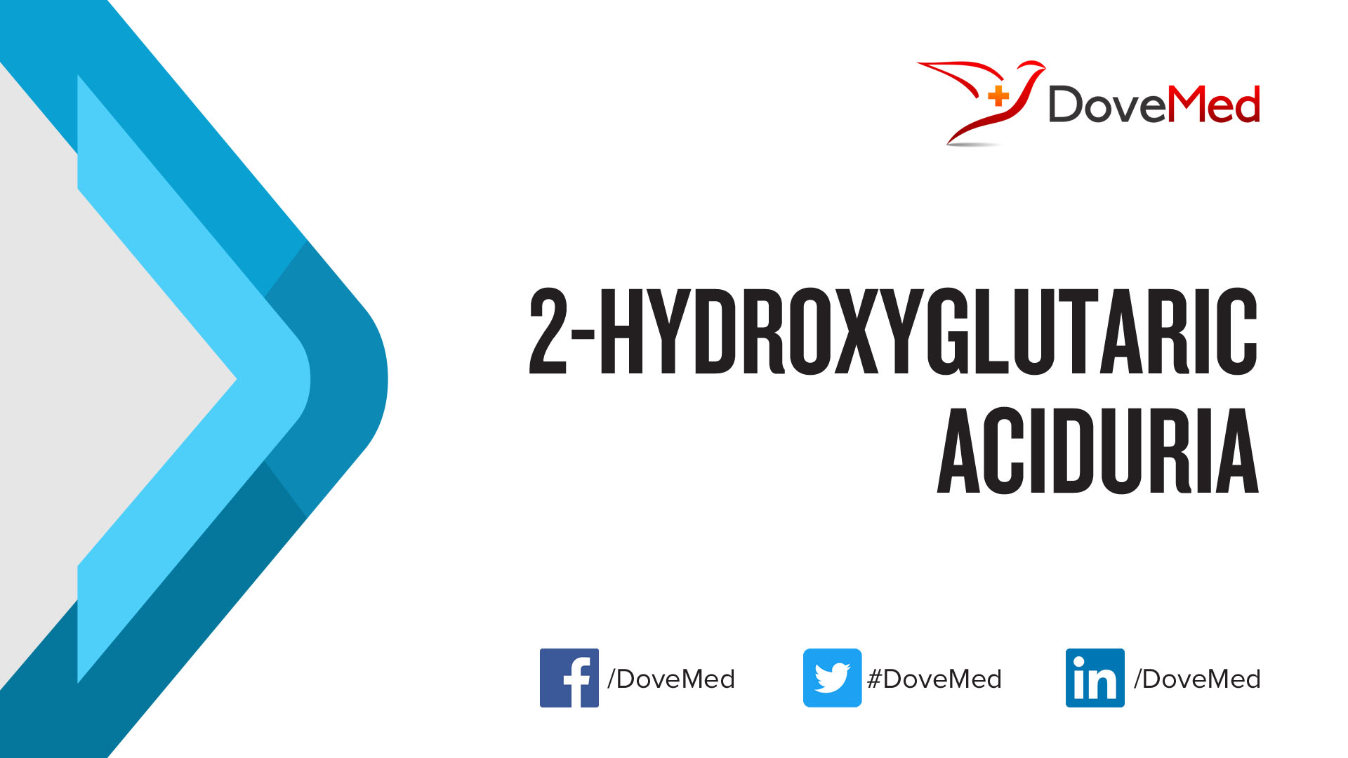 2-Hydroxyglutaric Aciduria