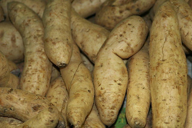 7 Health Benefits of Yam