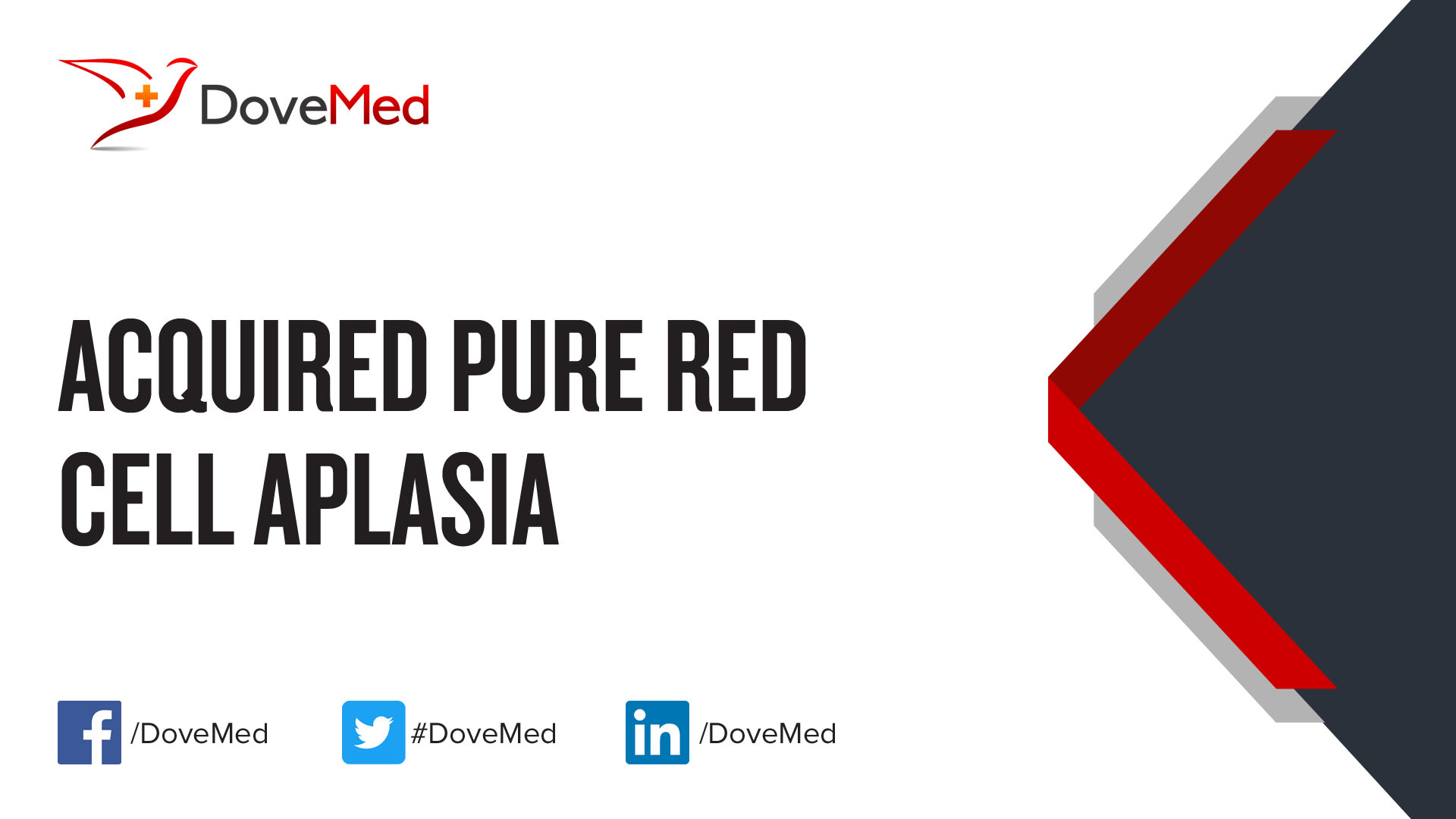 Acquired Pure Red Cell Aplasia