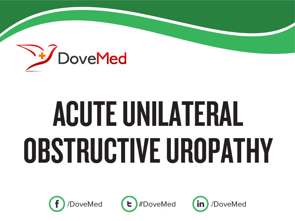 Acute Unilateral Obstructive Uropathy