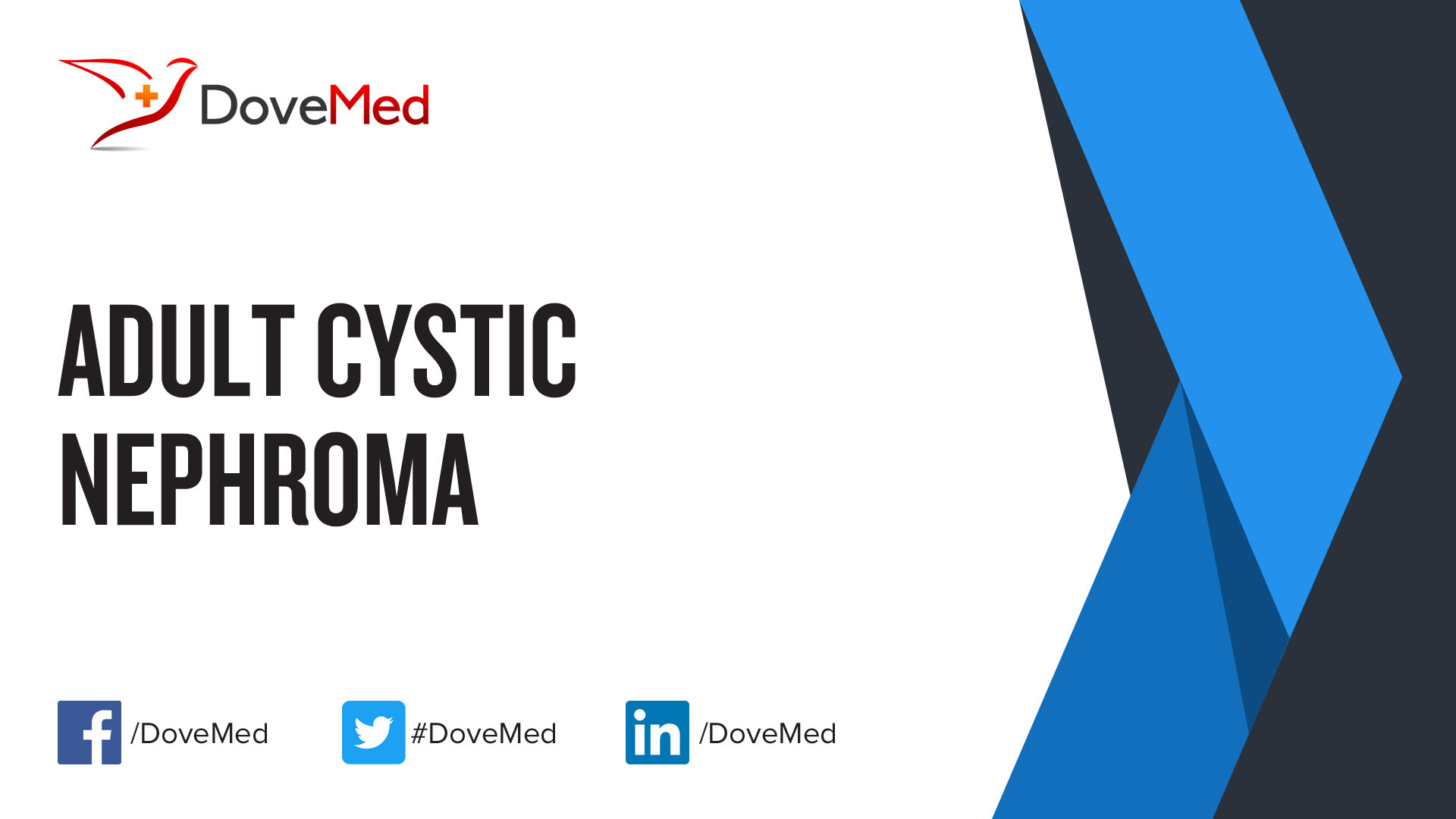 Adult Cystic Nephroma