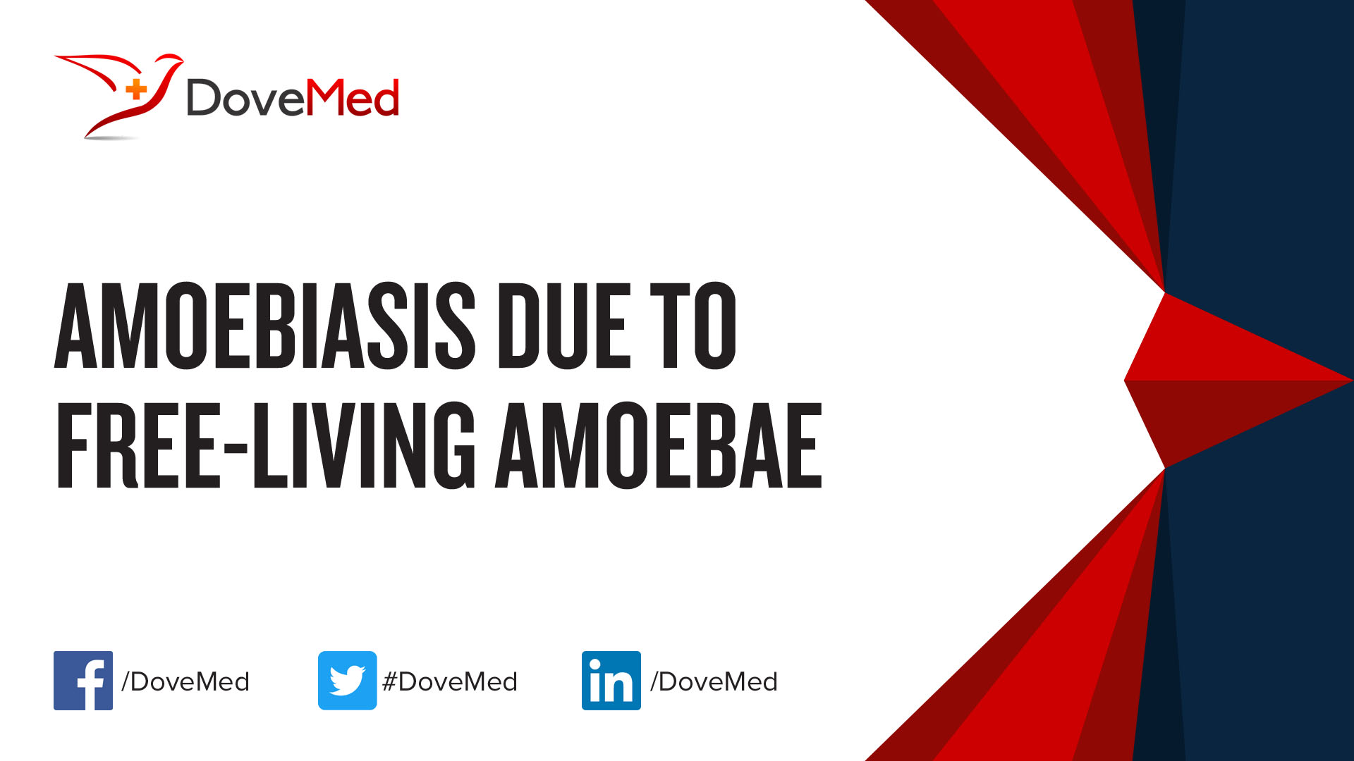 Amoebiasis due to Free-Living Amoebae