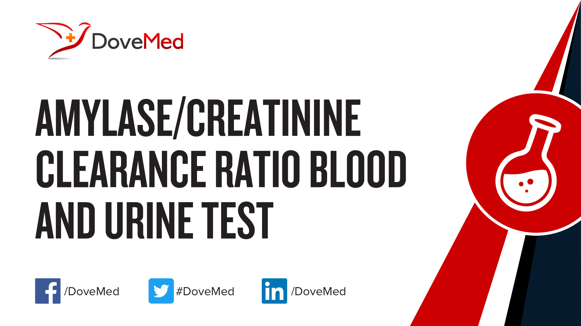 Amylase/Creatinine Clearance Ratio Blood and Urine Test