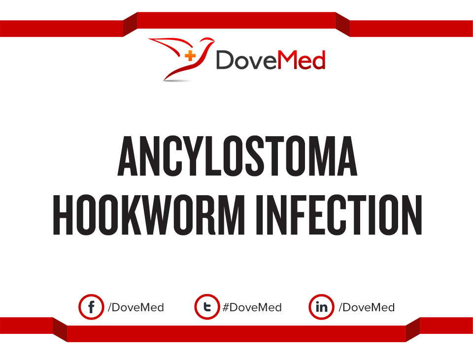 Ancylostoma Hookworm Infection