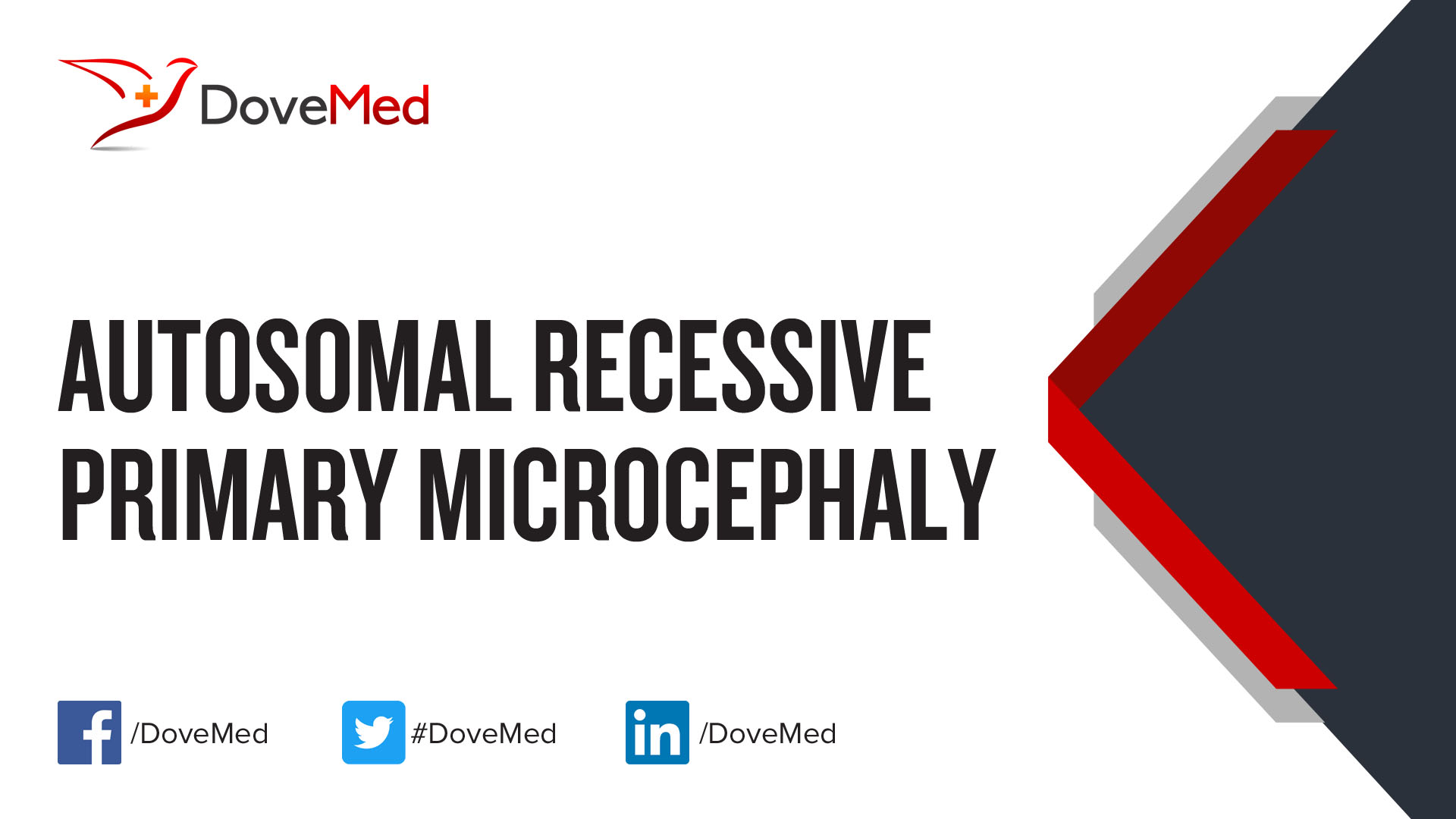Autosomal Recessive Primary Microcephaly