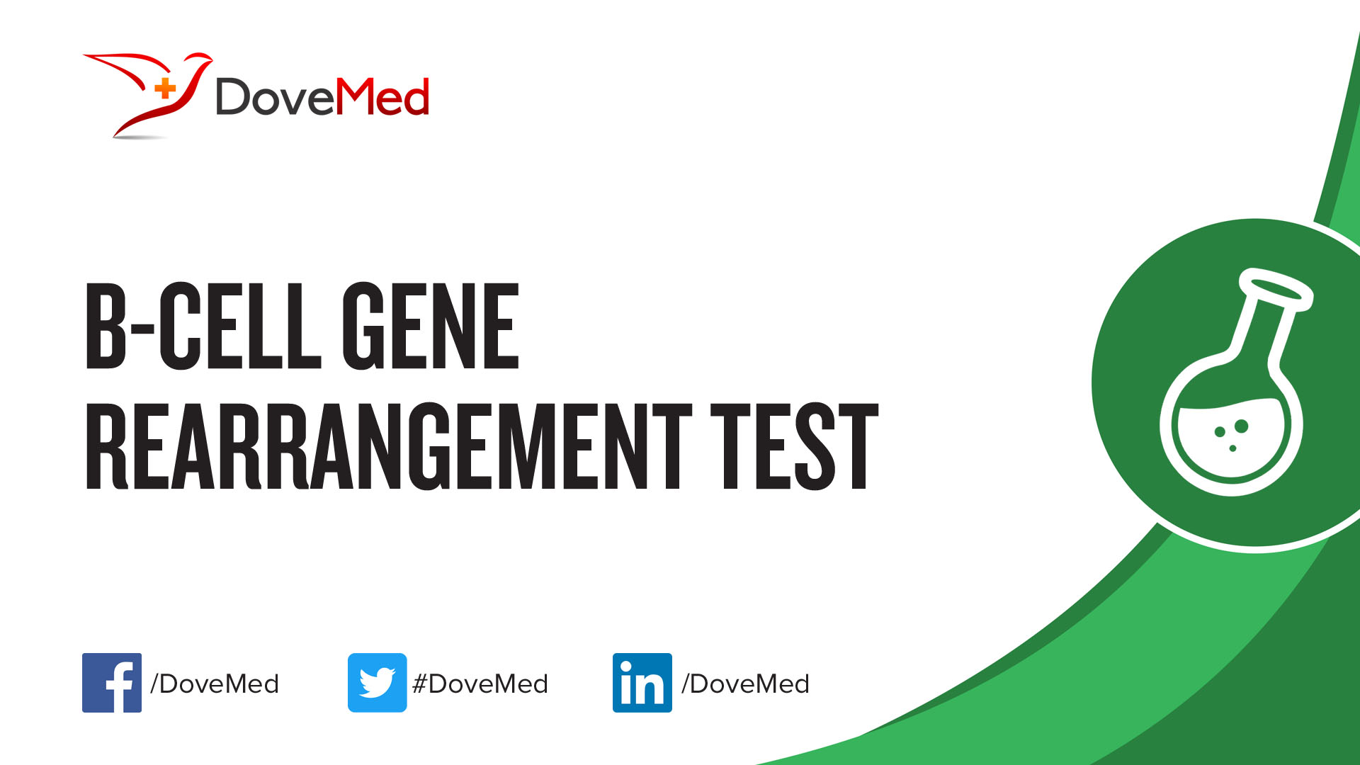 B-Cell Gene Rearrangement Test