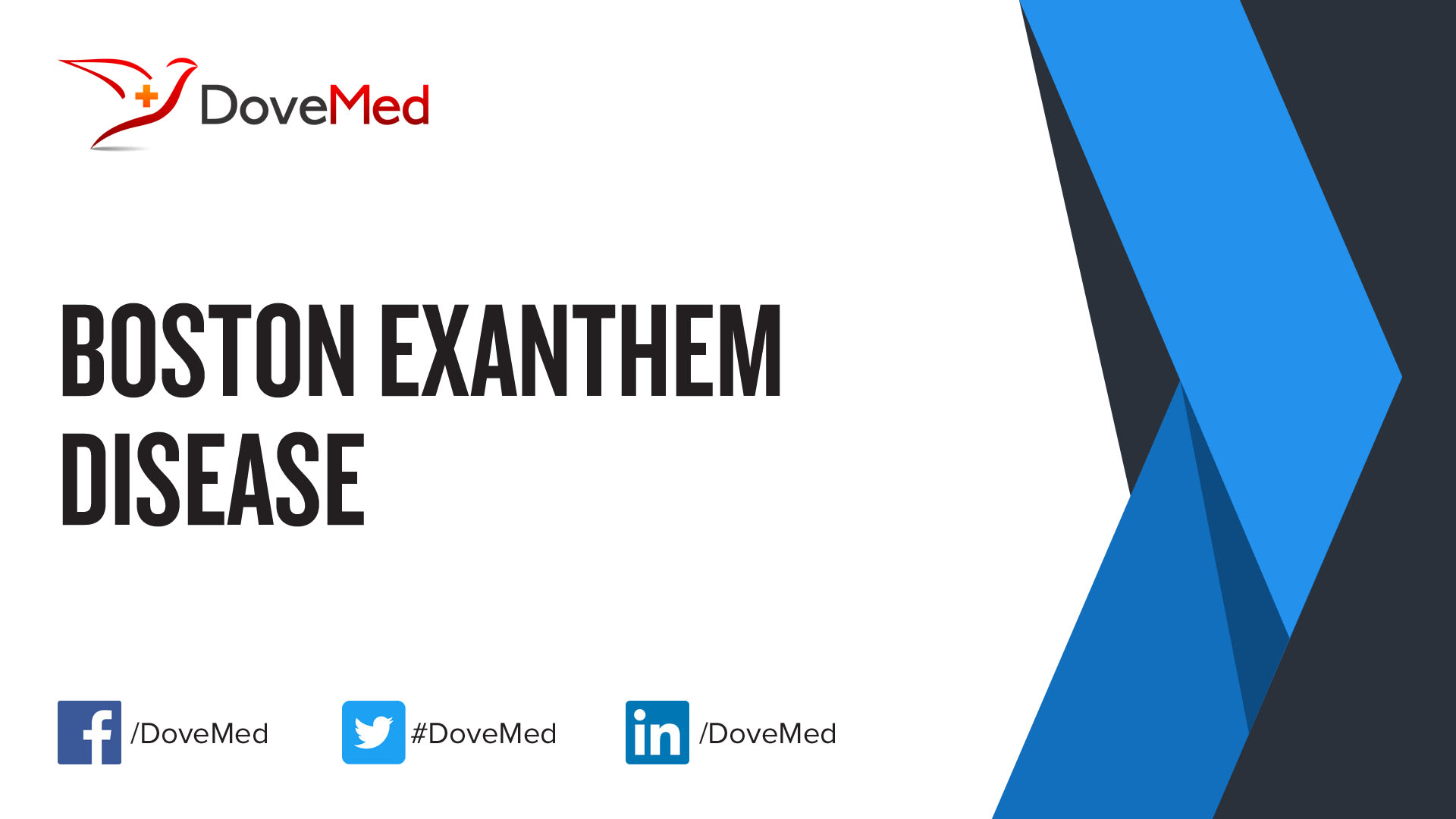 Boston Exanthem Disease