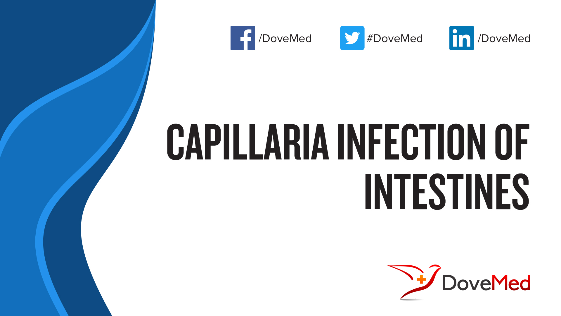 Capillaria Infection of Intestines