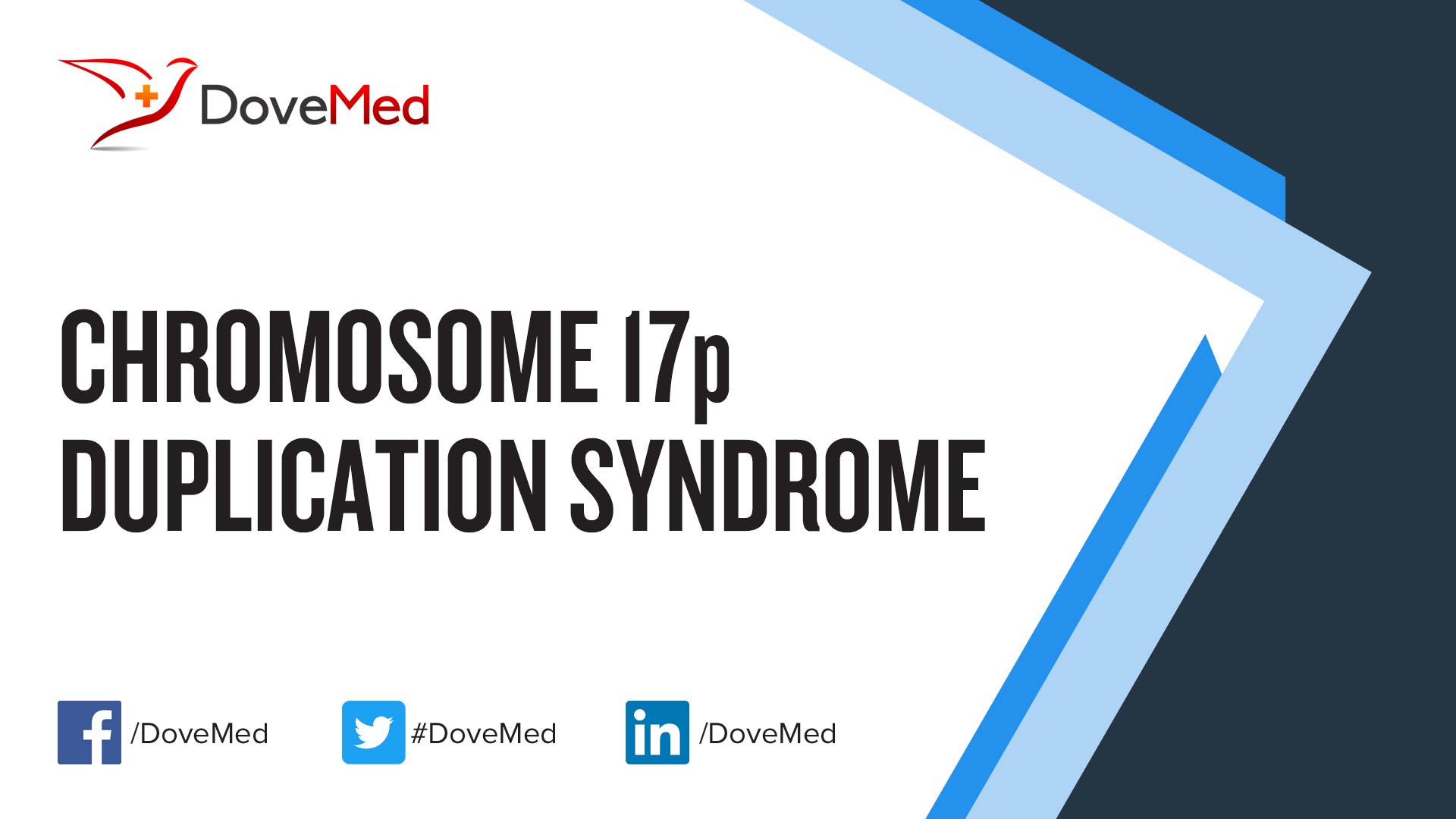 Chromosome 17p Duplication Syndrome