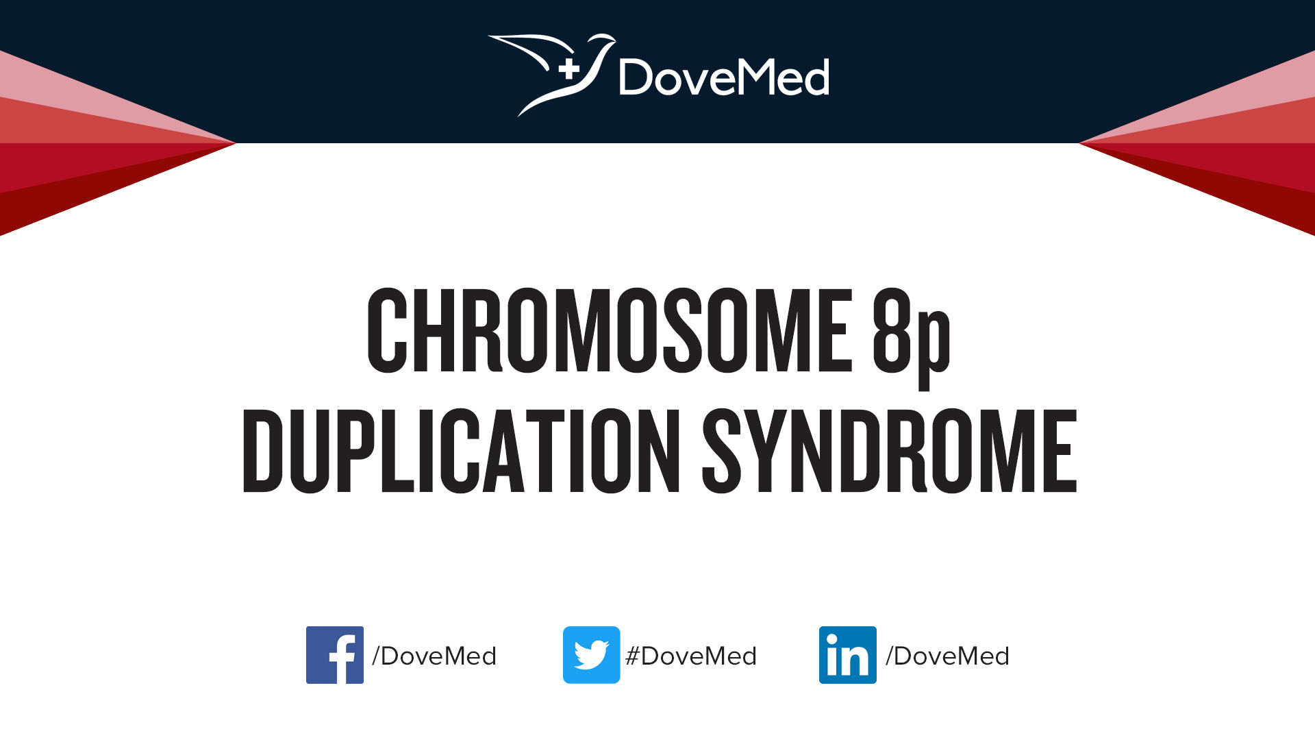 Chromosome 8p Duplication Syndrome
