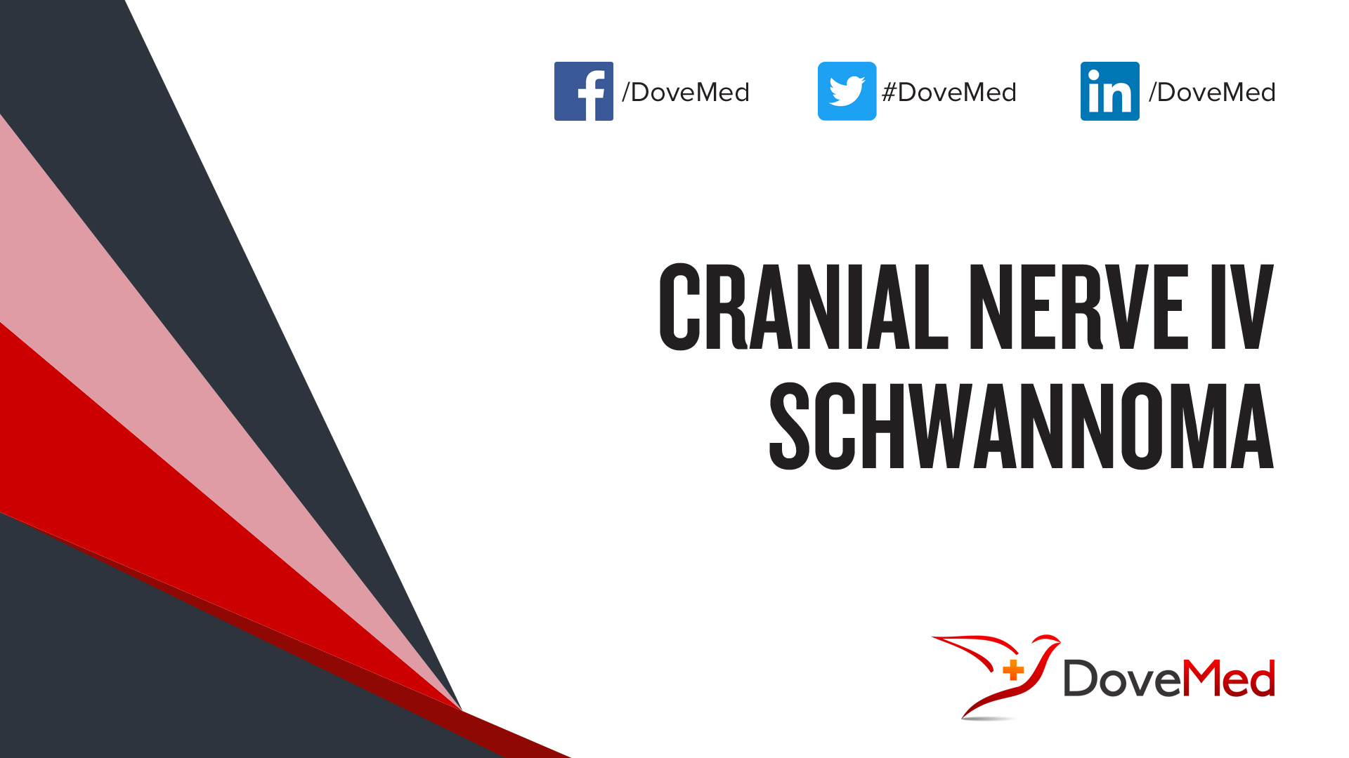 Cranial Nerve IV Schwannoma