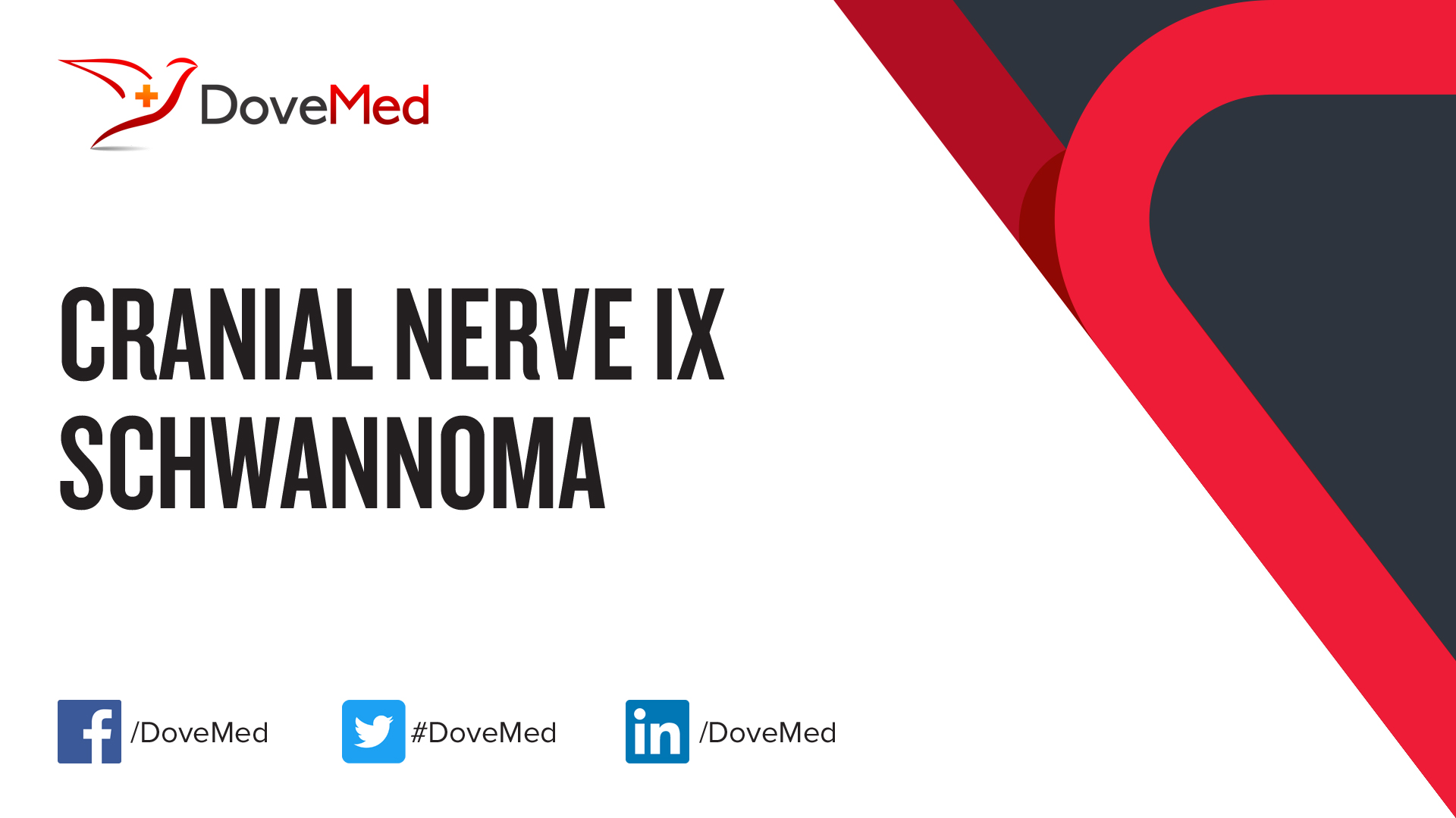 Cranial Nerve IX Schwannoma