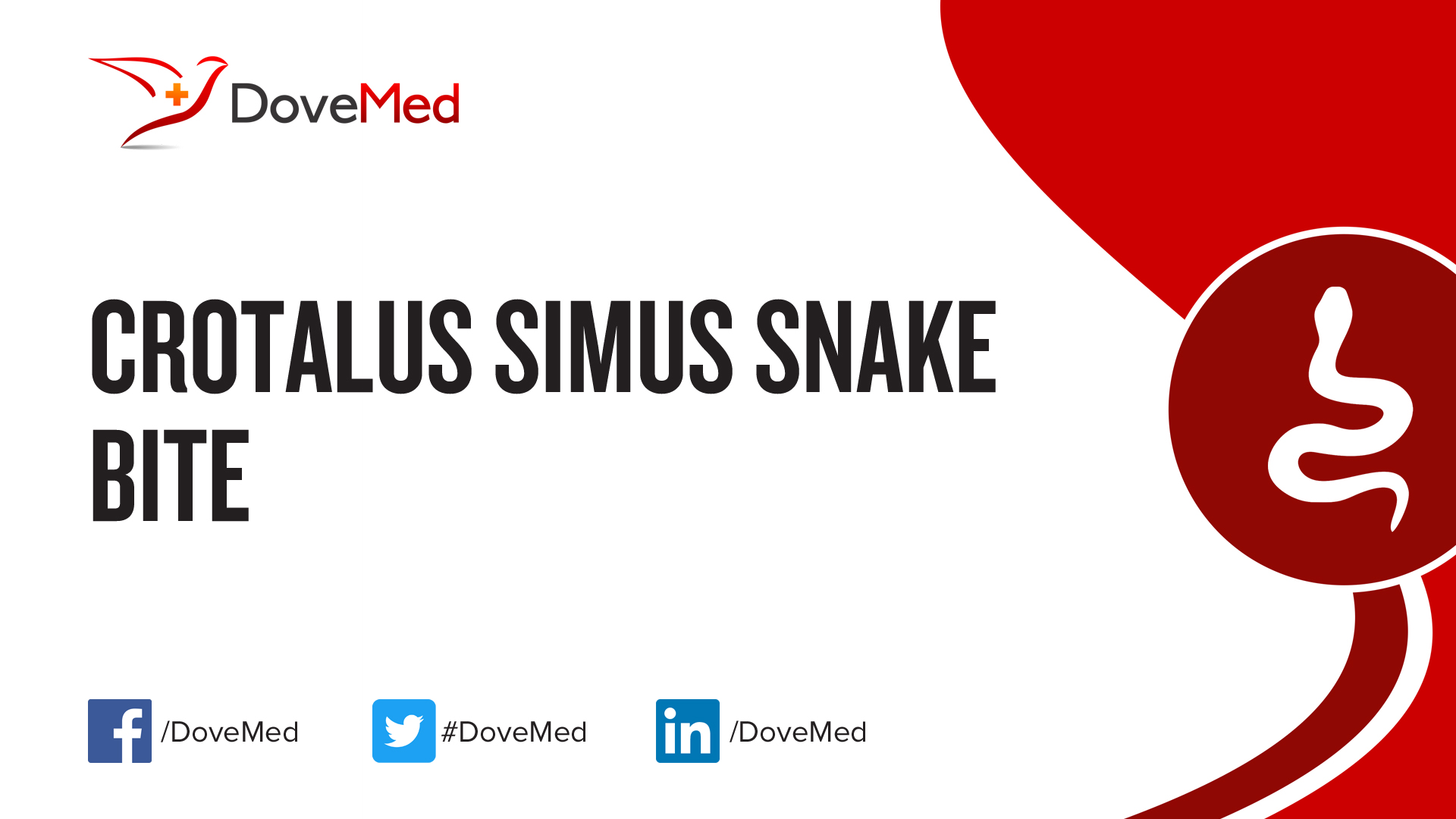 Crotalus Simus Snake Bite
