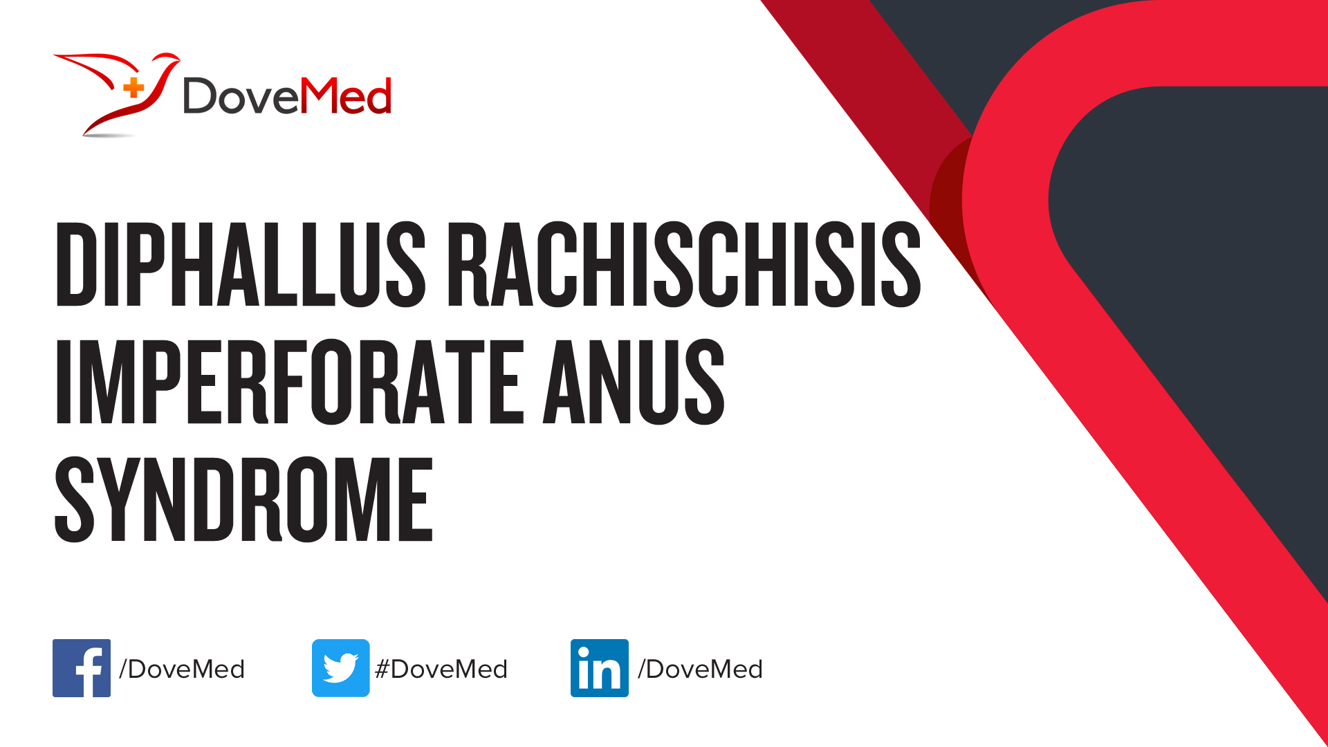 Diphallus Rachischisis Imperforate Anus Syndrome