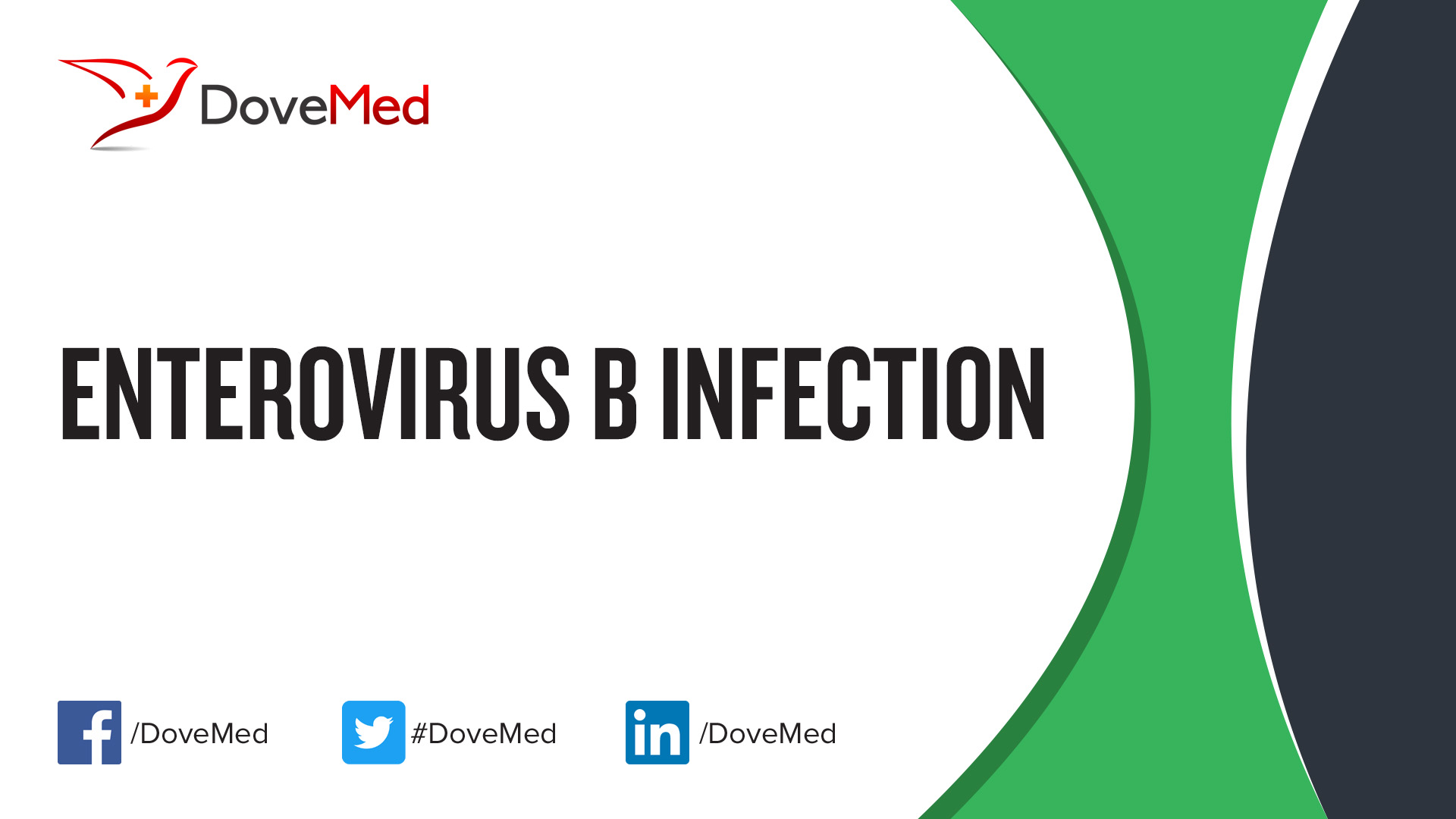 Enterovirus B Infection