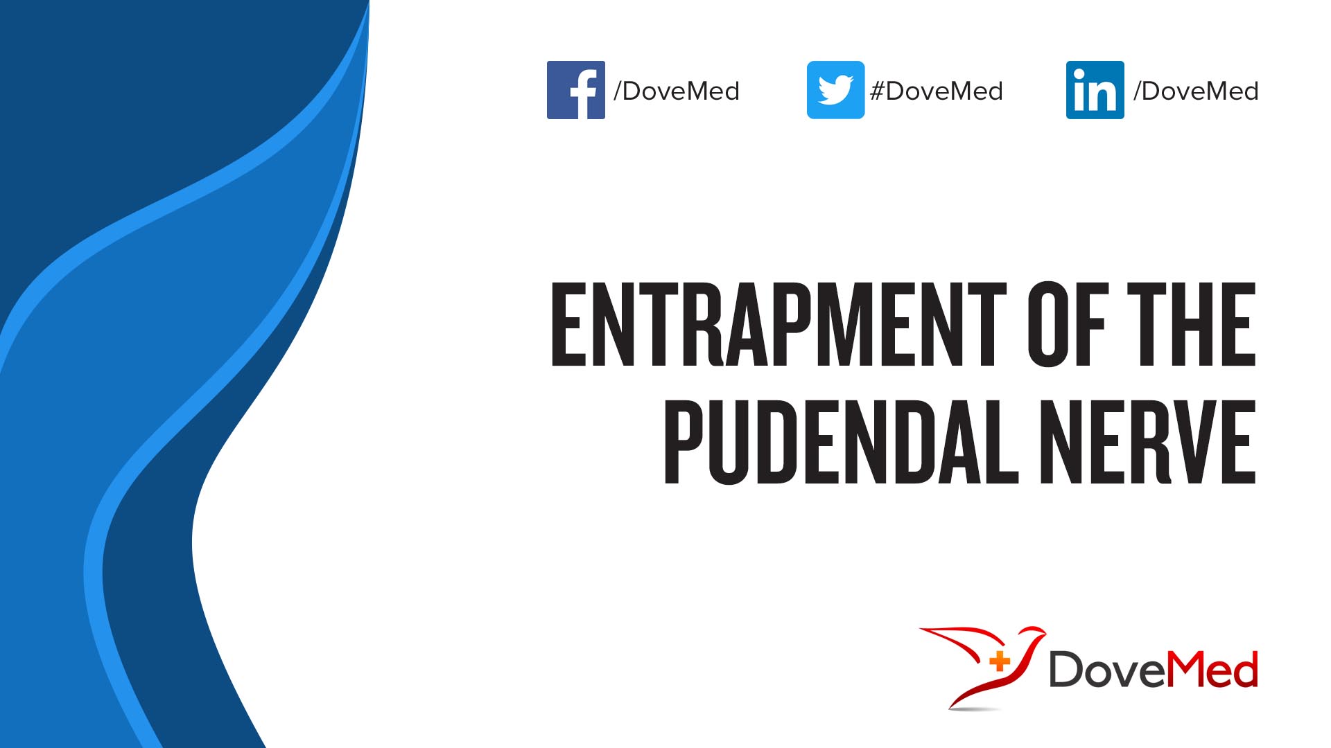 Entrapment of the Pudendal Nerve