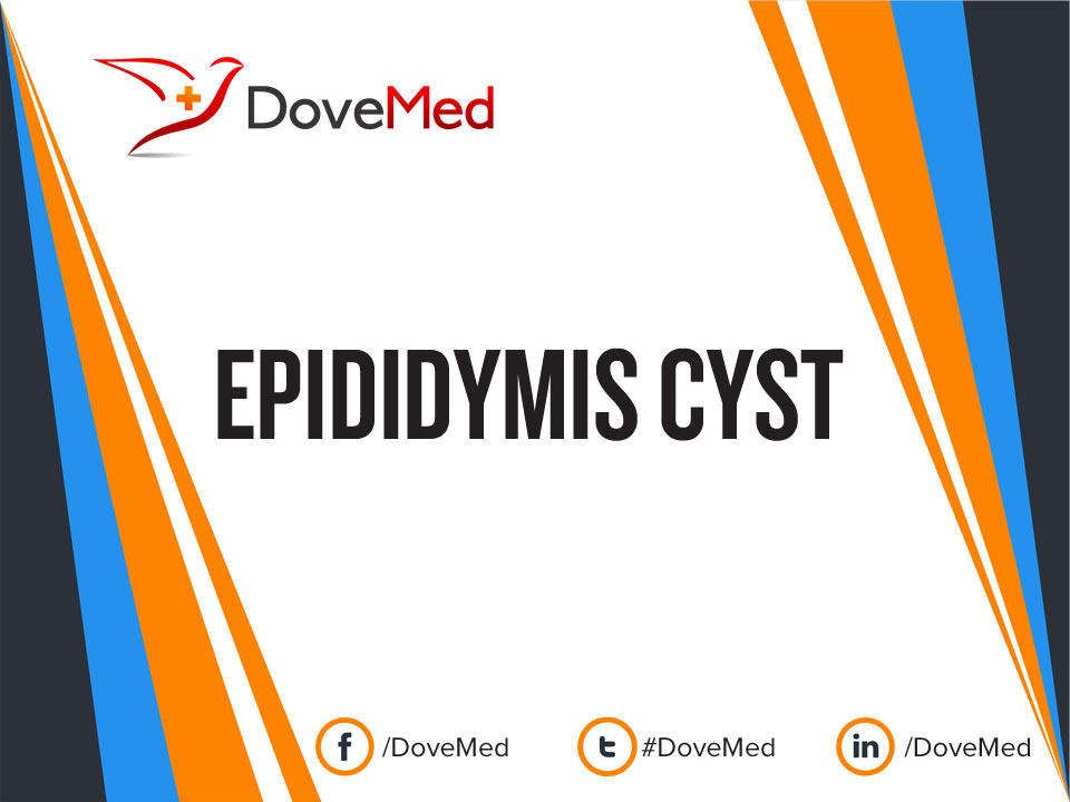 Epididymis Cyst
