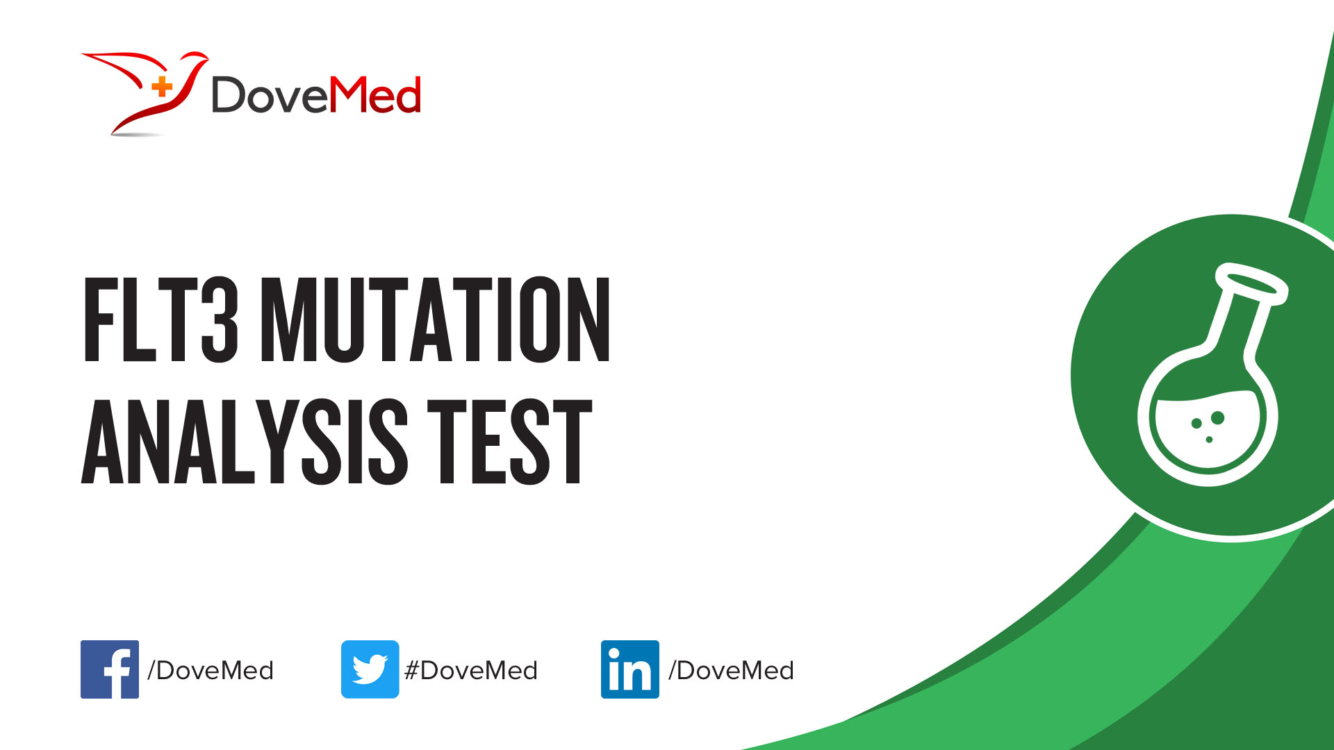 FLT3 Mutation Analysis Test