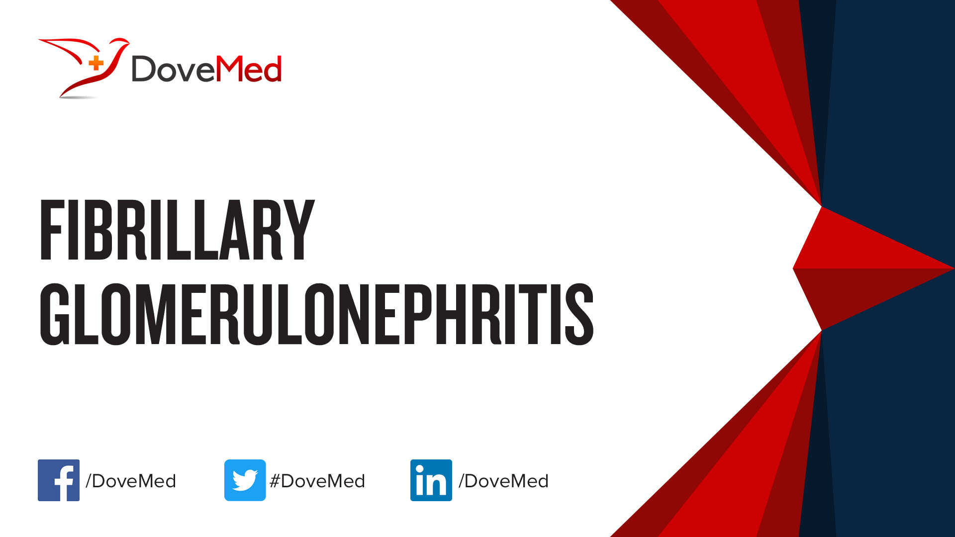 Fibrillary Glomerulonephritis