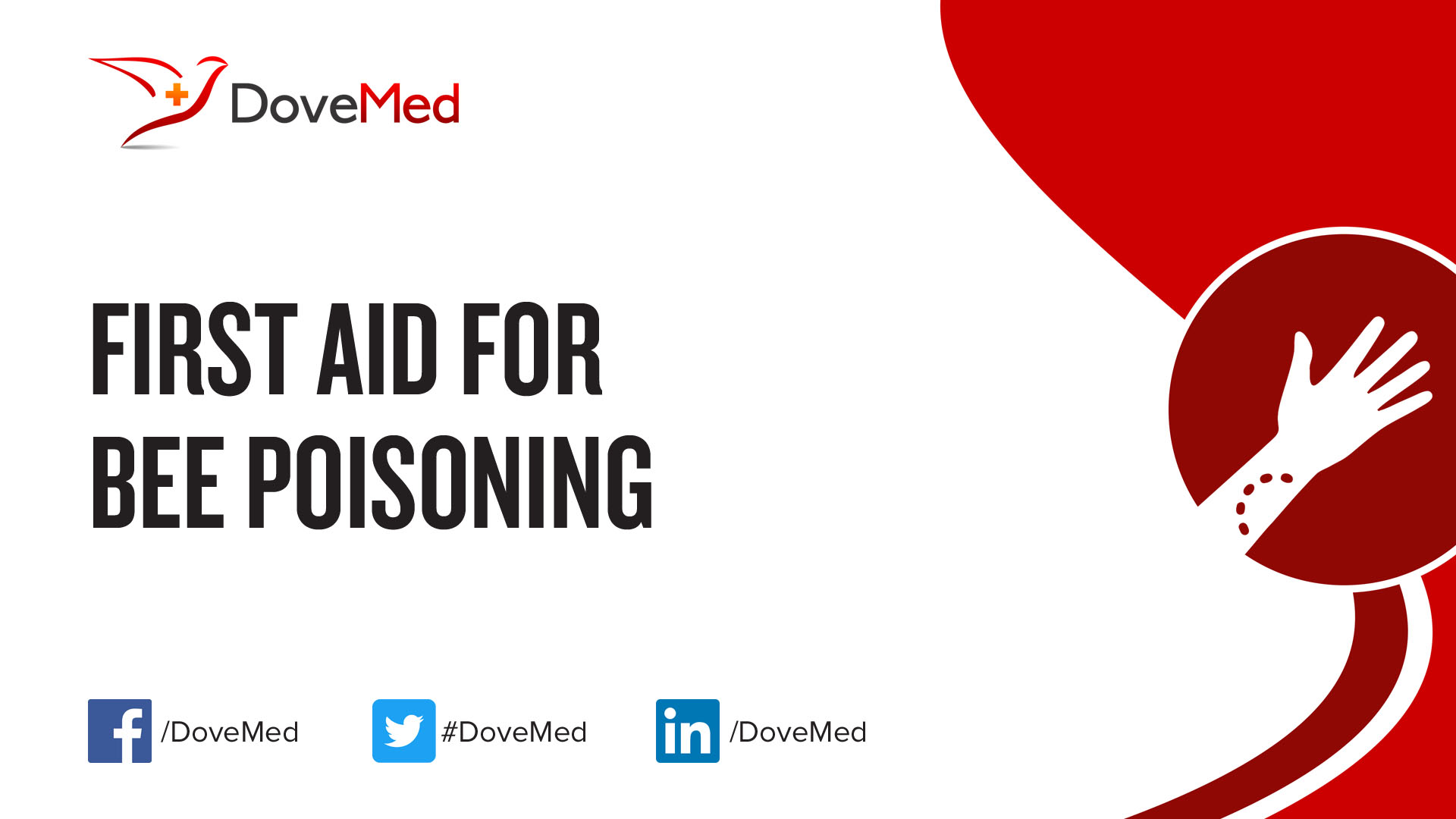 First Aid for Bee Poisoning