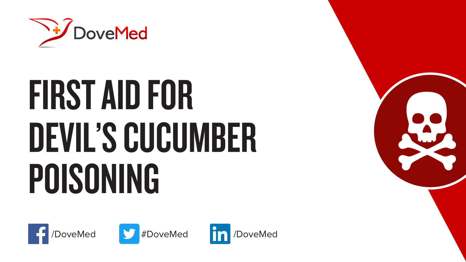 First Aid for Devil’s Cucumber Poisoning
