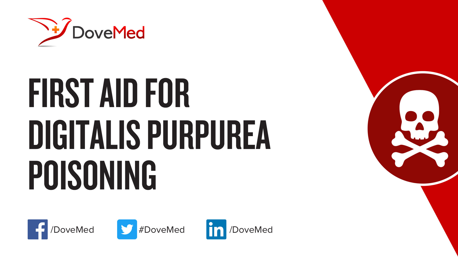 First Aid for Digitalis Purpurea Poisoning