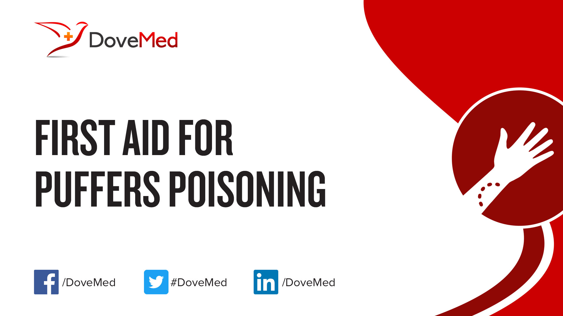 First Aid for Puffers Poisoning